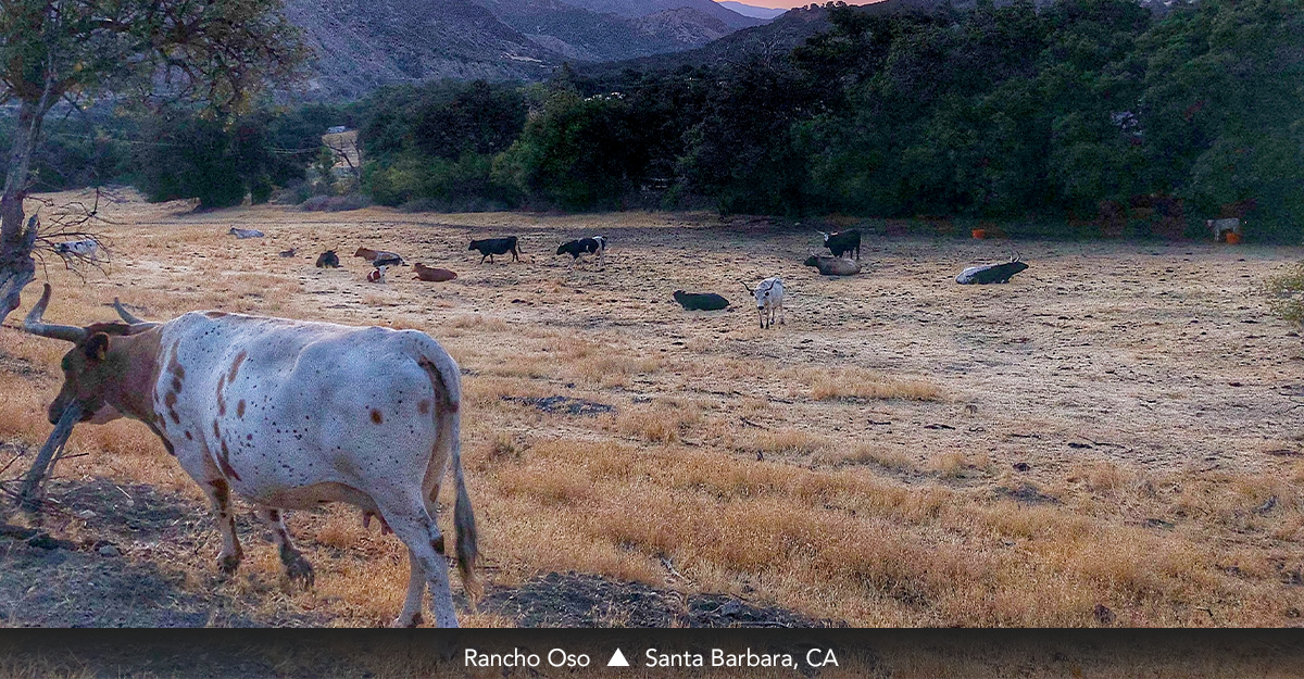 Rancho Oso • Santa Barbara, CA | Petite Retreater