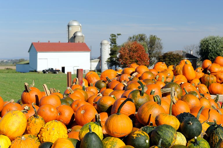 5 Things to Do in… Lancaster County and Pennsylvania Dutch Country ...
