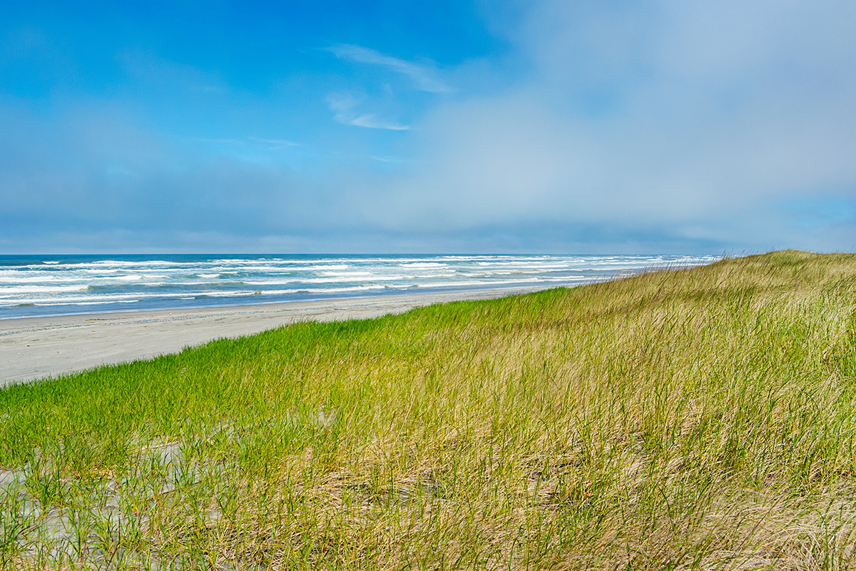 Turtle Time | Petite Retreater