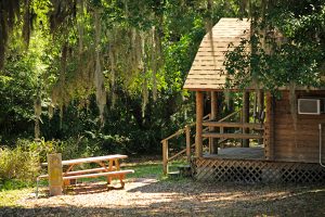 5 Things to Do in Florida’s Peace River | Petite Retreater