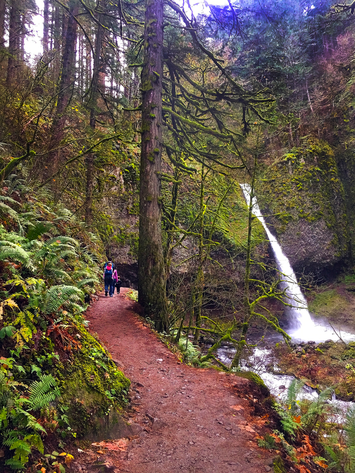 5 Things to Do In Portland | Petite Retreater